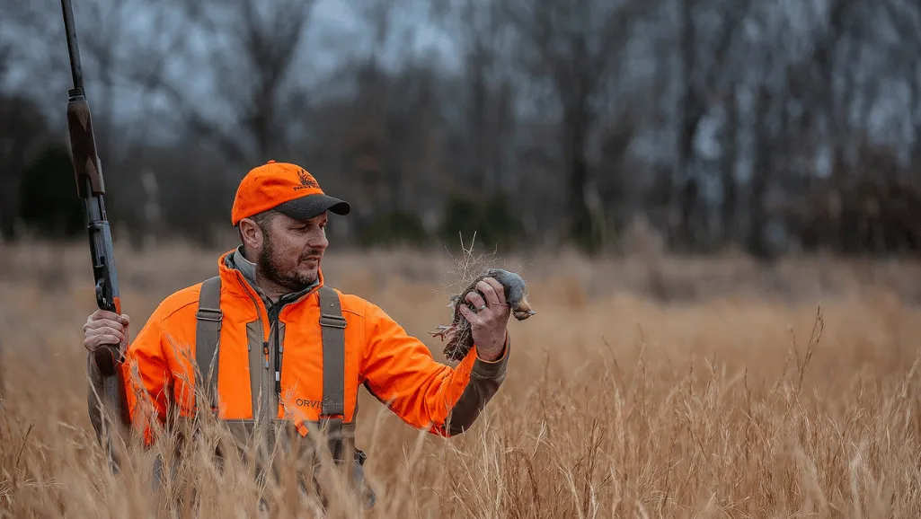 Ethical Game Bird Hunting Practices Guide